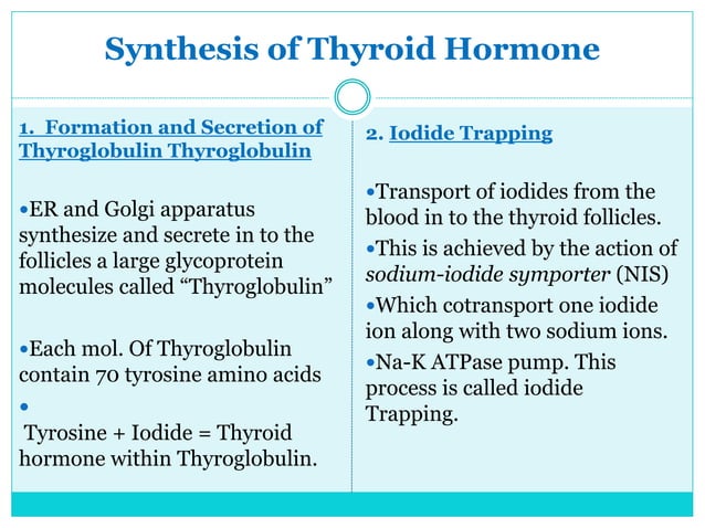Thyroid hormone (The Guyton and Hall physiology) | PPTX