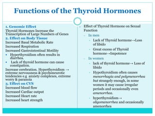 Thyroid Gland Hormones And Functions