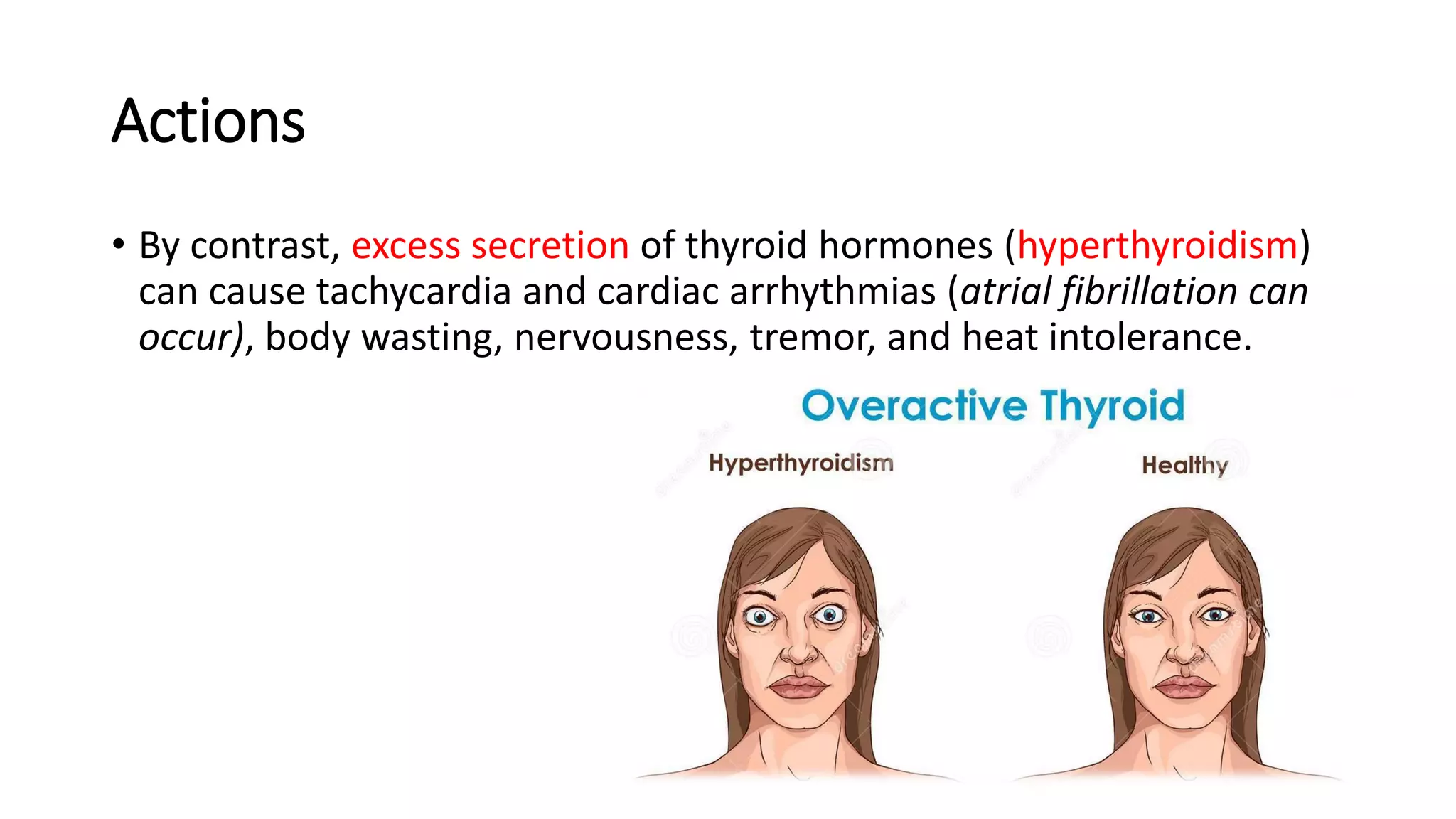 thyroid hormone.pdf