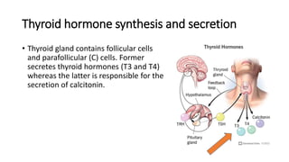 thyroid hormone.pdf