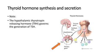 thyroid hormone.pdf