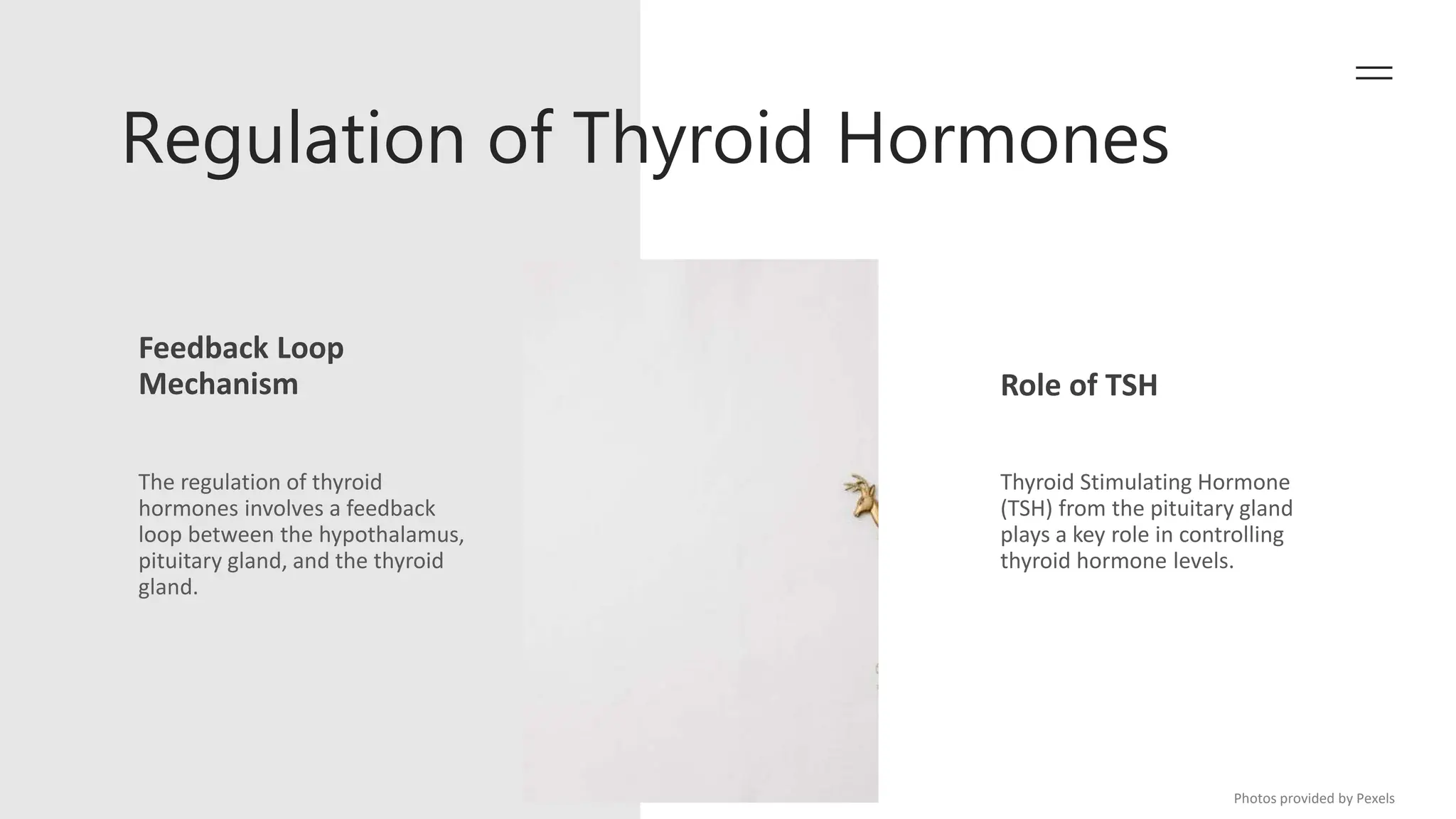 Basic of Thyroid Hormone:- An In-depth Analysis | PPT