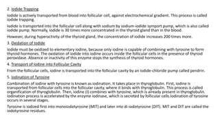 THYROID HORMONE.pptx by Subham Panja,Asst. Professor, Department of B ...