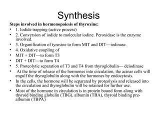 Thyroid Hormone.ppt structure synthesis and functions | PPT