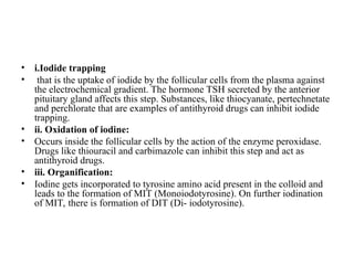 Thyroid Hormone.ppt structure synthesis and functions | PPT
