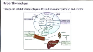 Thyroid hormone 2 doctor vinet kumar sir.pdf