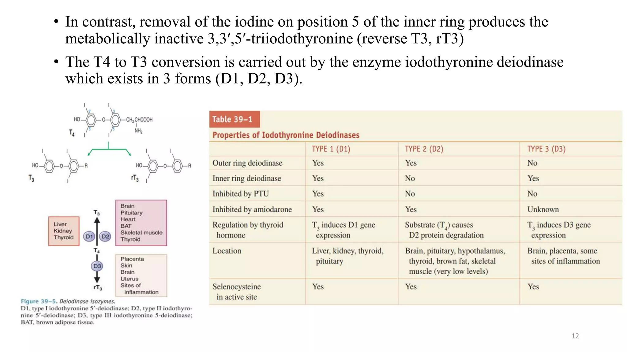 Thyroid hormone and anti thyroid drugs | PPTX