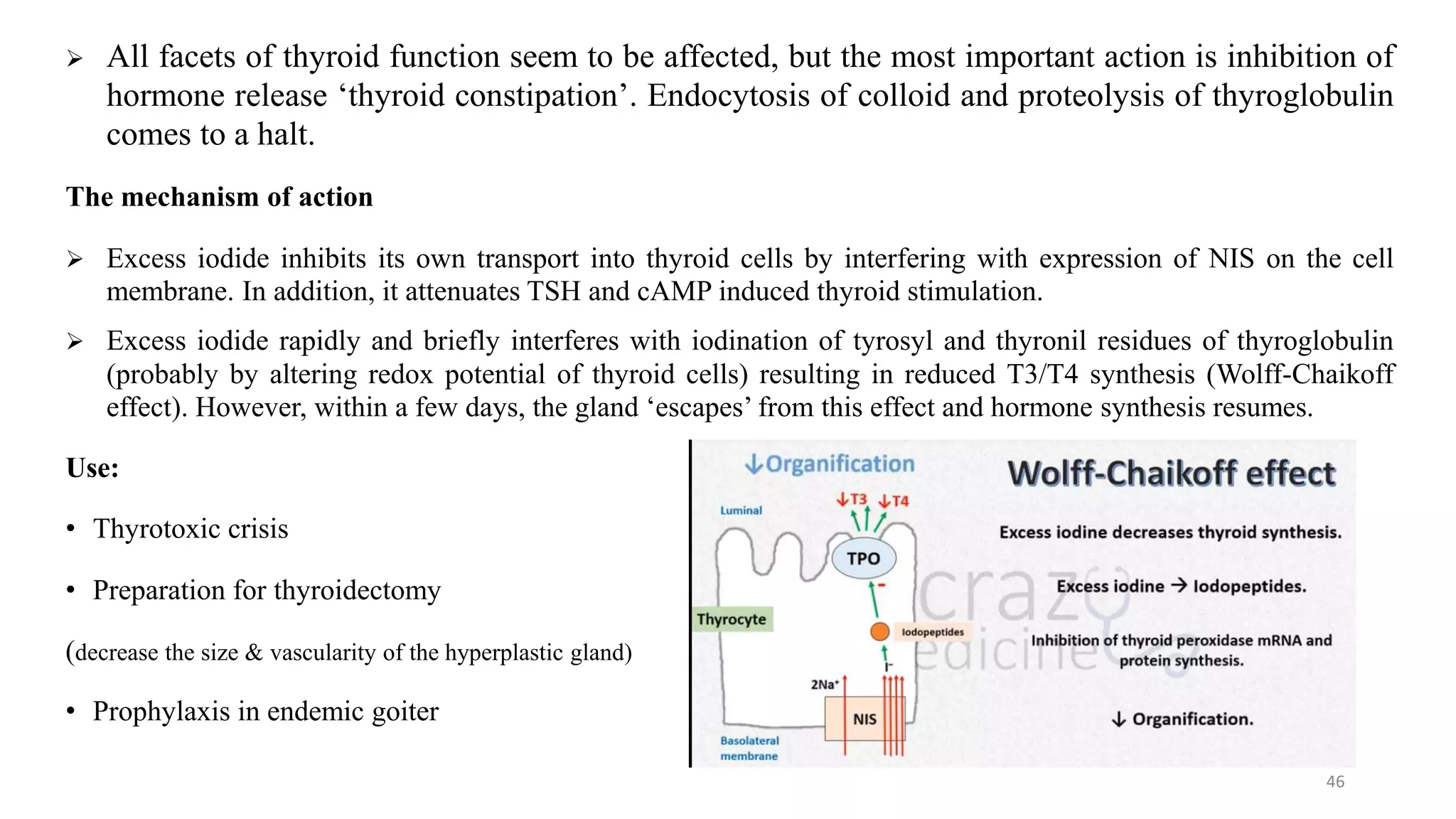 Thyroid hormone and anti thyroid drugs | PPTX