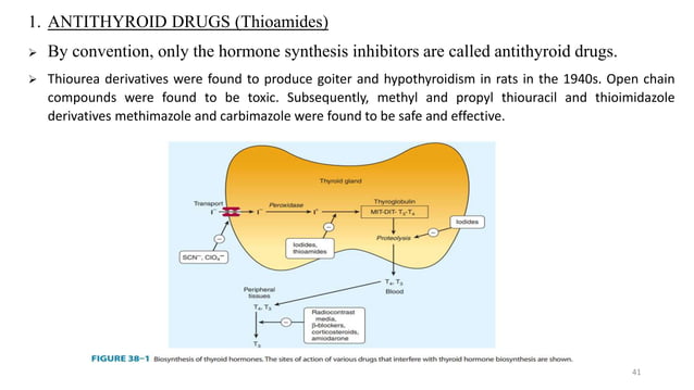 Thyroid hormone and anti thyroid drugs | PPTX