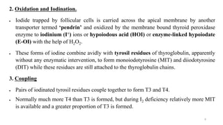 Thyroid hormone and anti thyroid drugs | PPTX