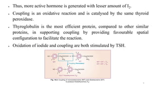 Thyroid hormone and anti thyroid drugs | PPTX