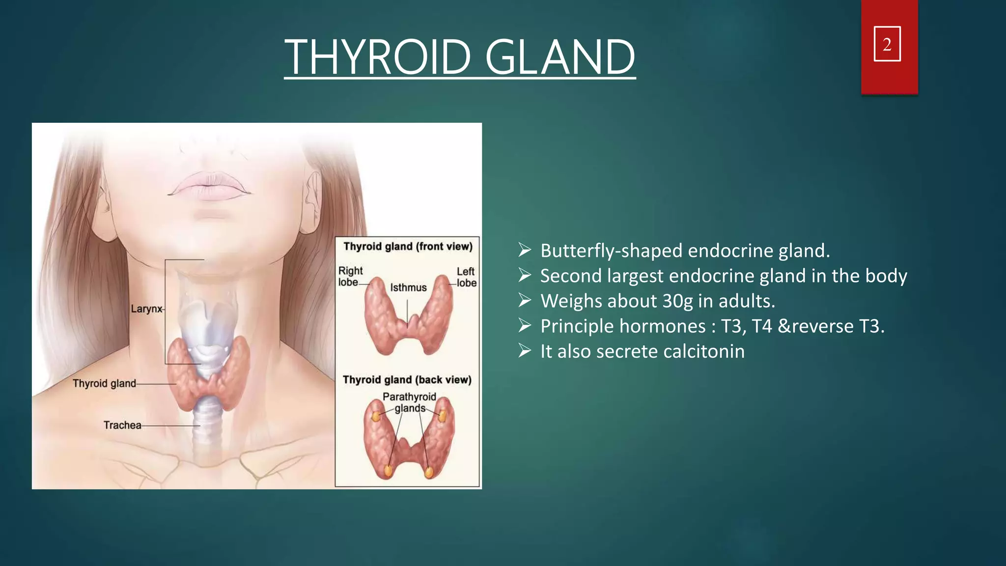 Thyroid hormone disorders | PPTX
