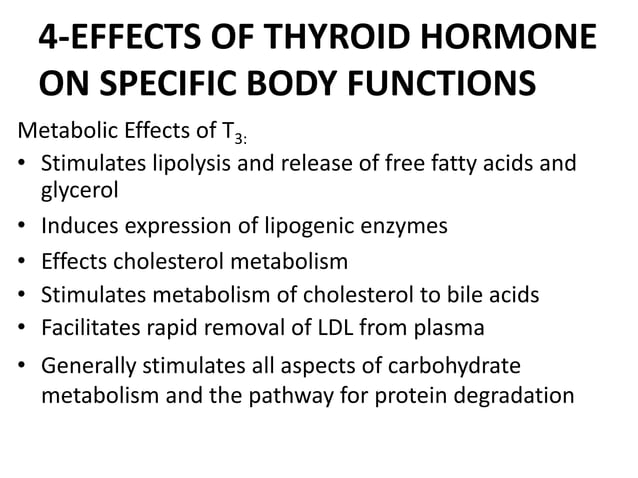 Functions of Thyroid hormone | PPT