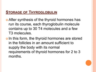 Thyroid gland and Thyroid hormone Physiology ppt | PPT