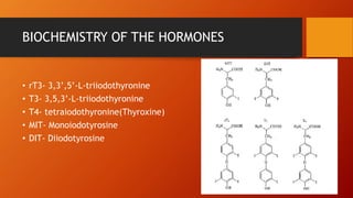 Thyroid hormones: Clinical and Biochemical Insight | PDF