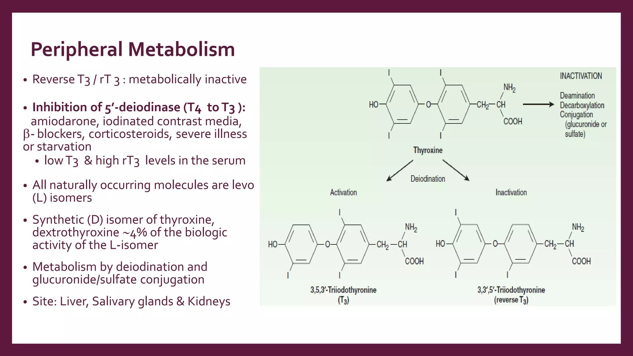 Thyroid hormones | PDF