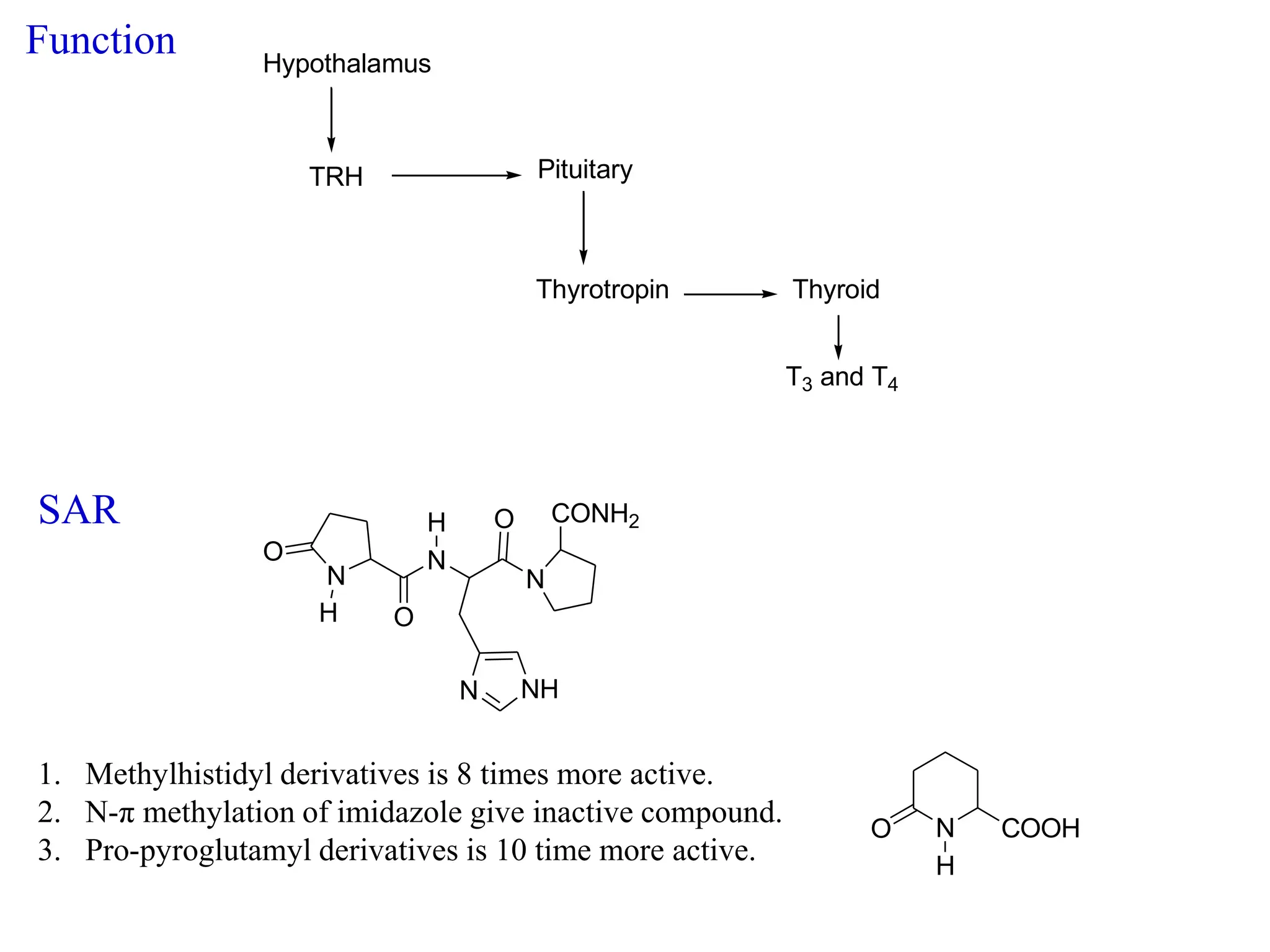 Thyroid Hormones for Medical Diagnosis.ppt