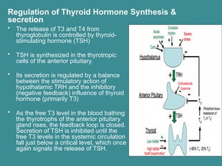 Thyroid Hormones power point presen.pptx