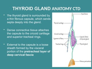 Thyroid Hormones power point presen.pptx