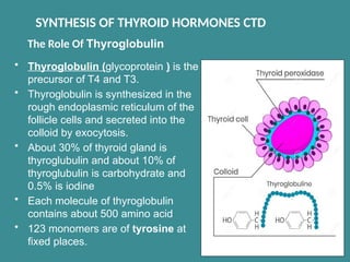 Thyroid Hormones power point presen.pptx