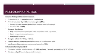 Thyroid Hormones.Class PPTX Thyroid Hormone | PPTX