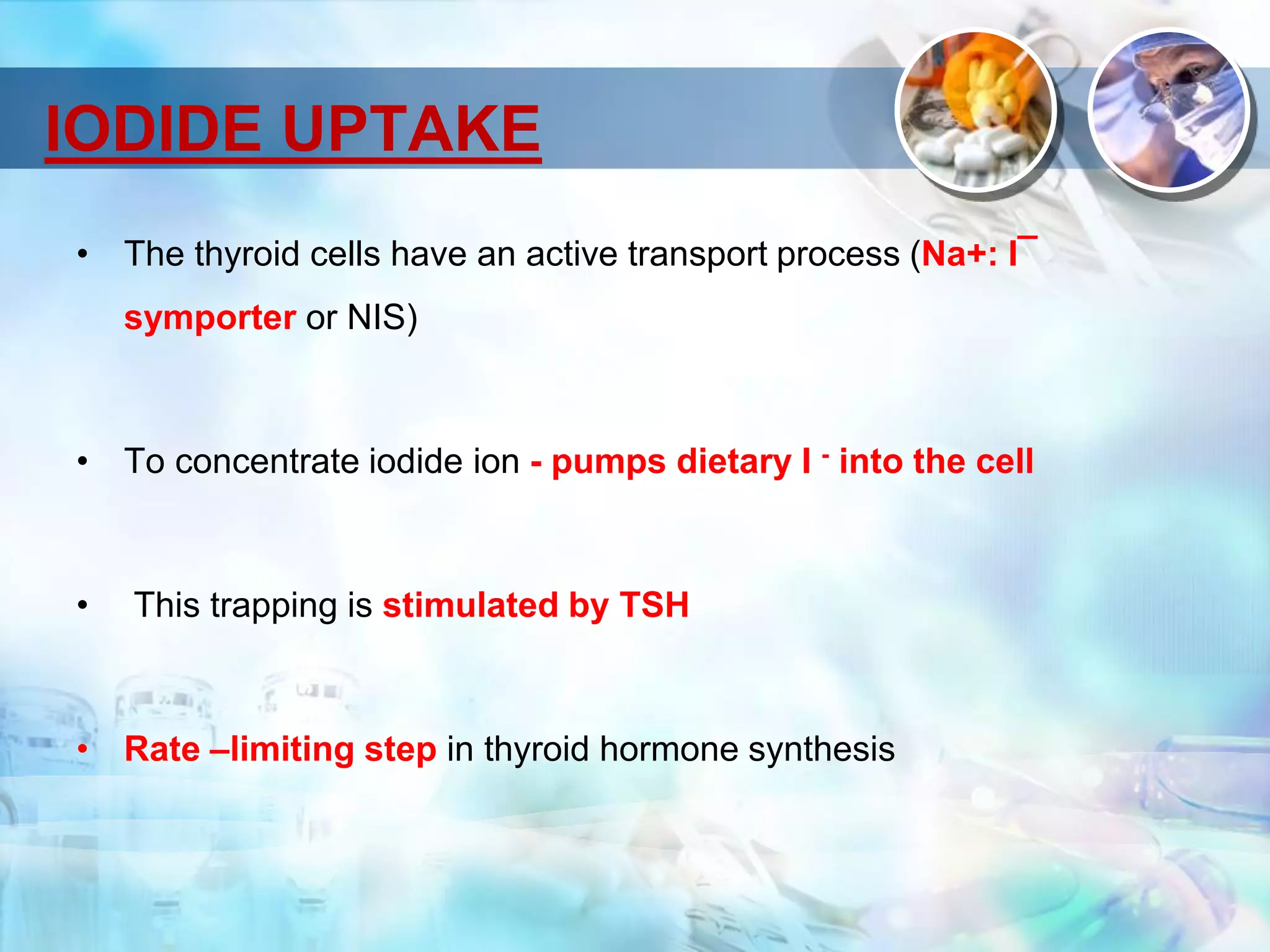 Thyroid hormones and thyroid inhibitors | PPTX