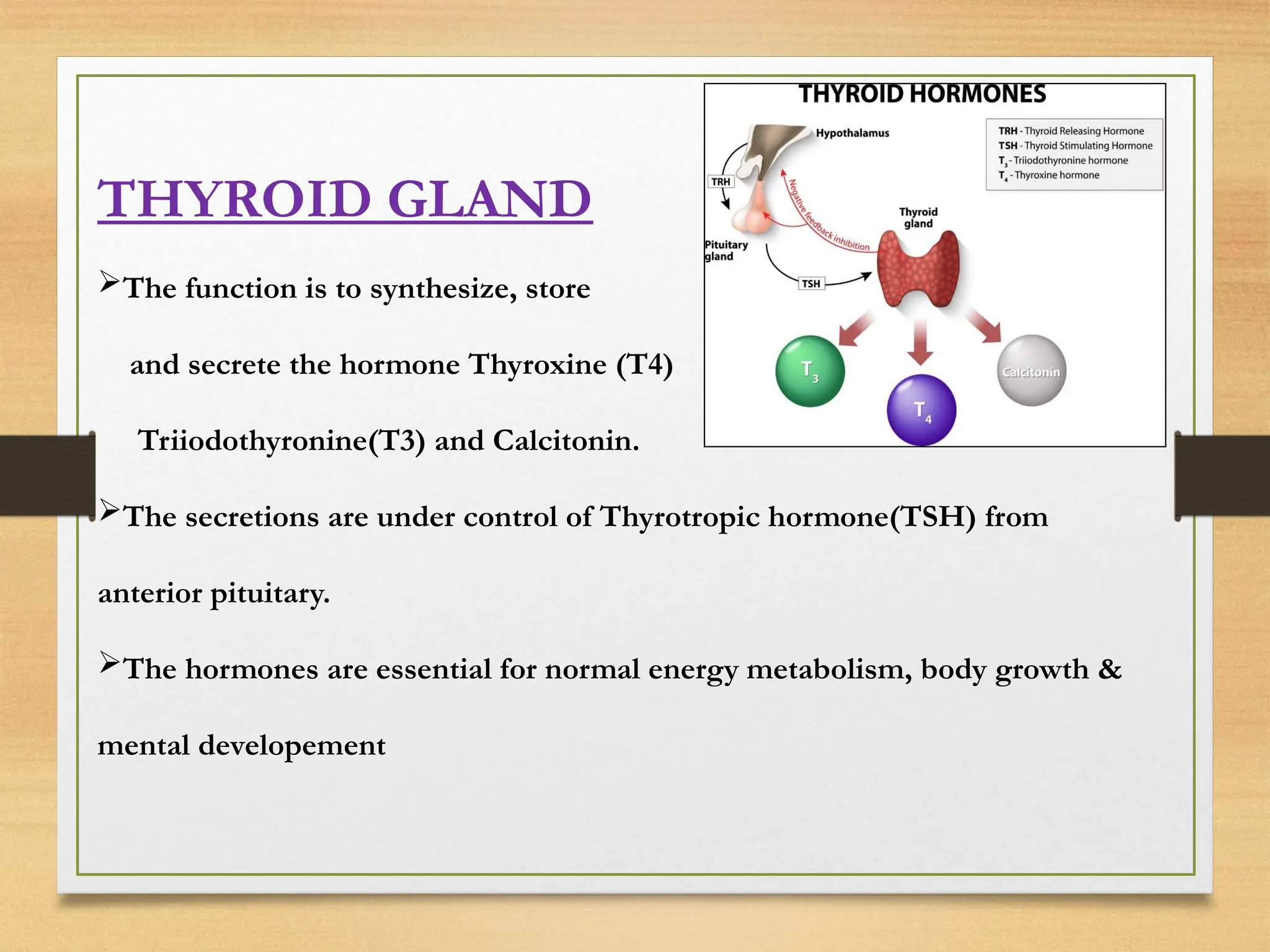 Thyroid hormones & antithyroid drugs.ppt