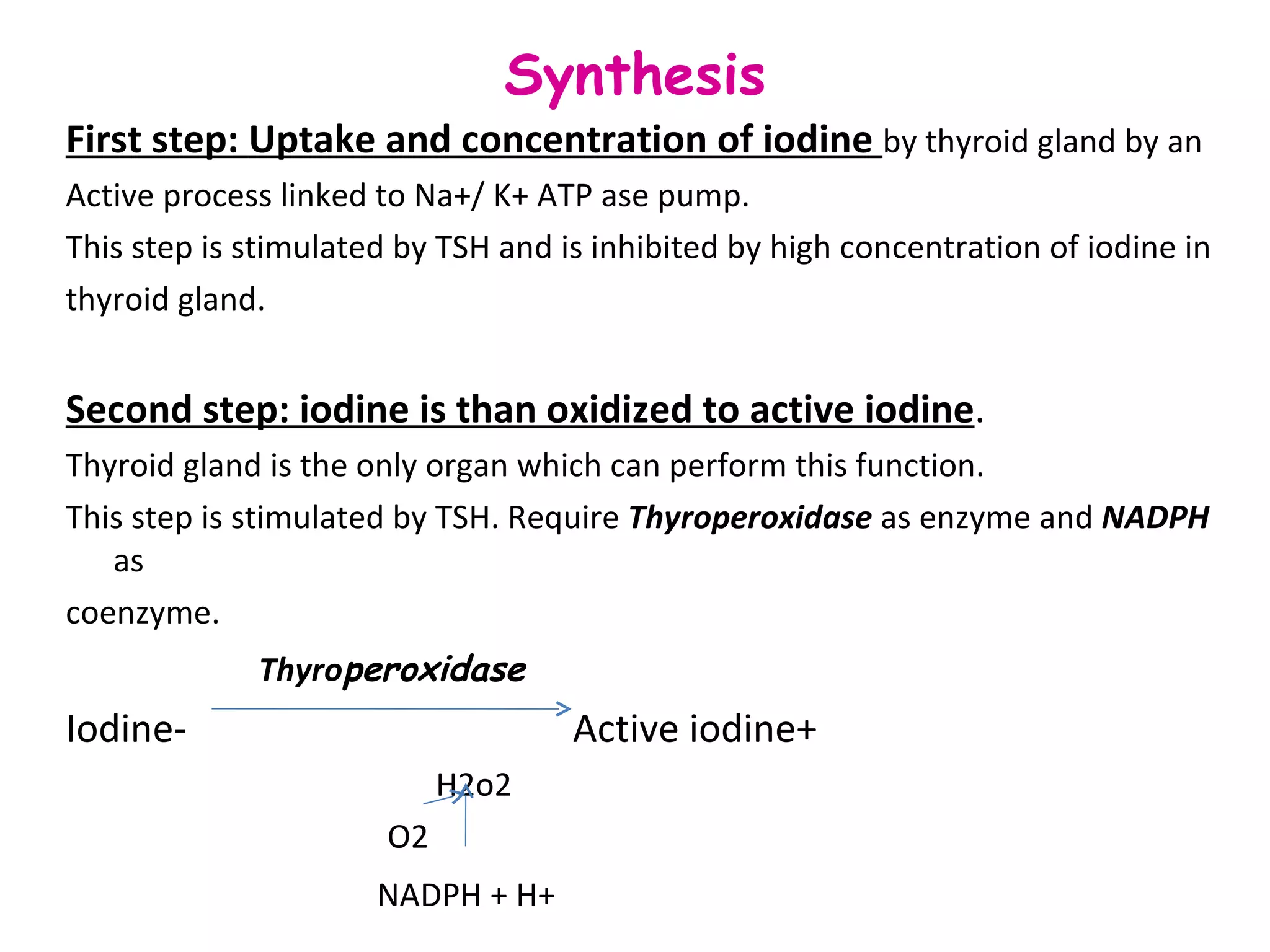 Thyroid Hormones Females | PPT