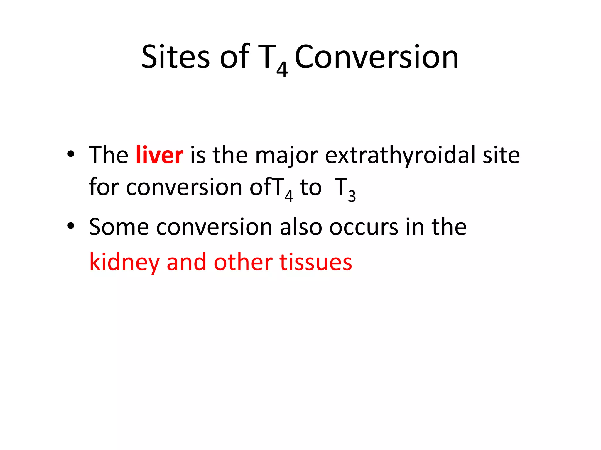 Thyroid hormone synthesis | PPT