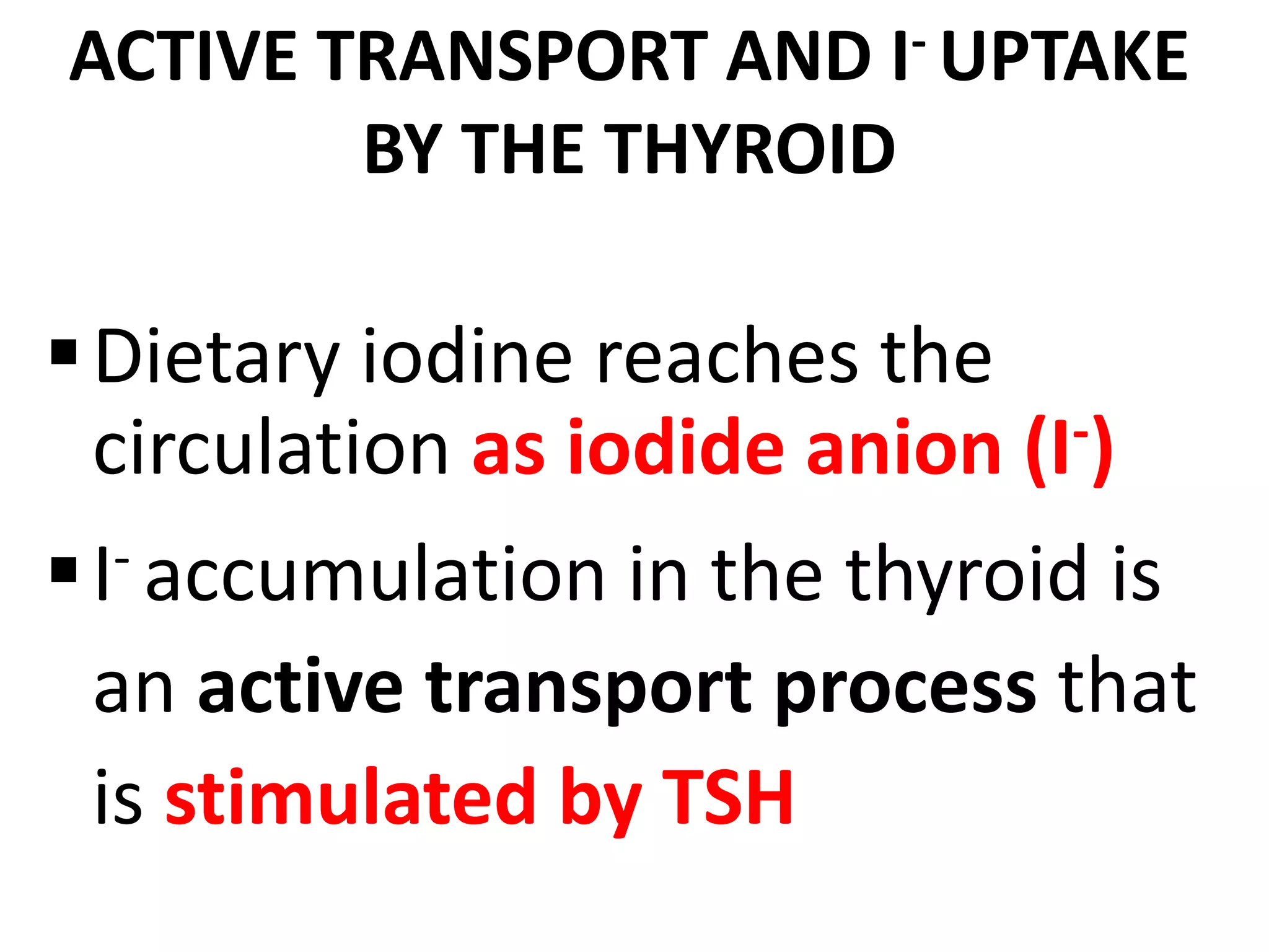 Thyroid hormone synthesis | PPT