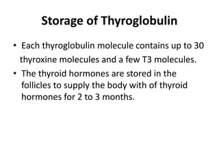 Thyroid hormone synthesis | PPT