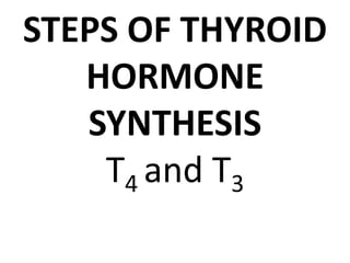 Thyroid hormone synthesis | PPT