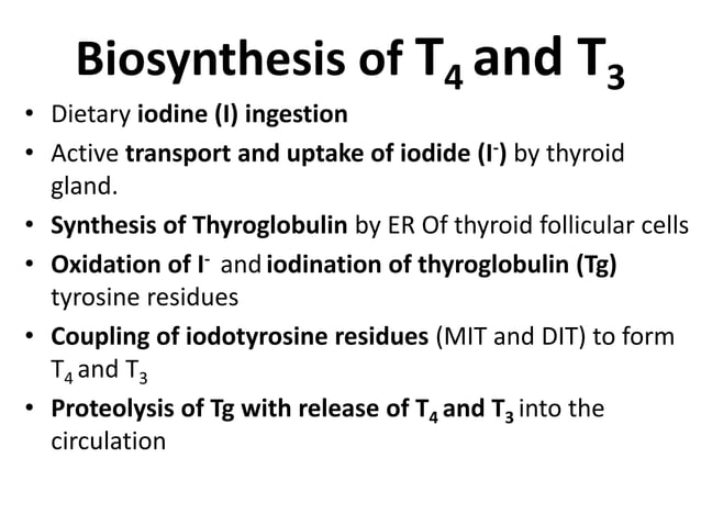 Thyroid hormone synthesis | PPT | Thyroid Disorders | Endocrine and ...