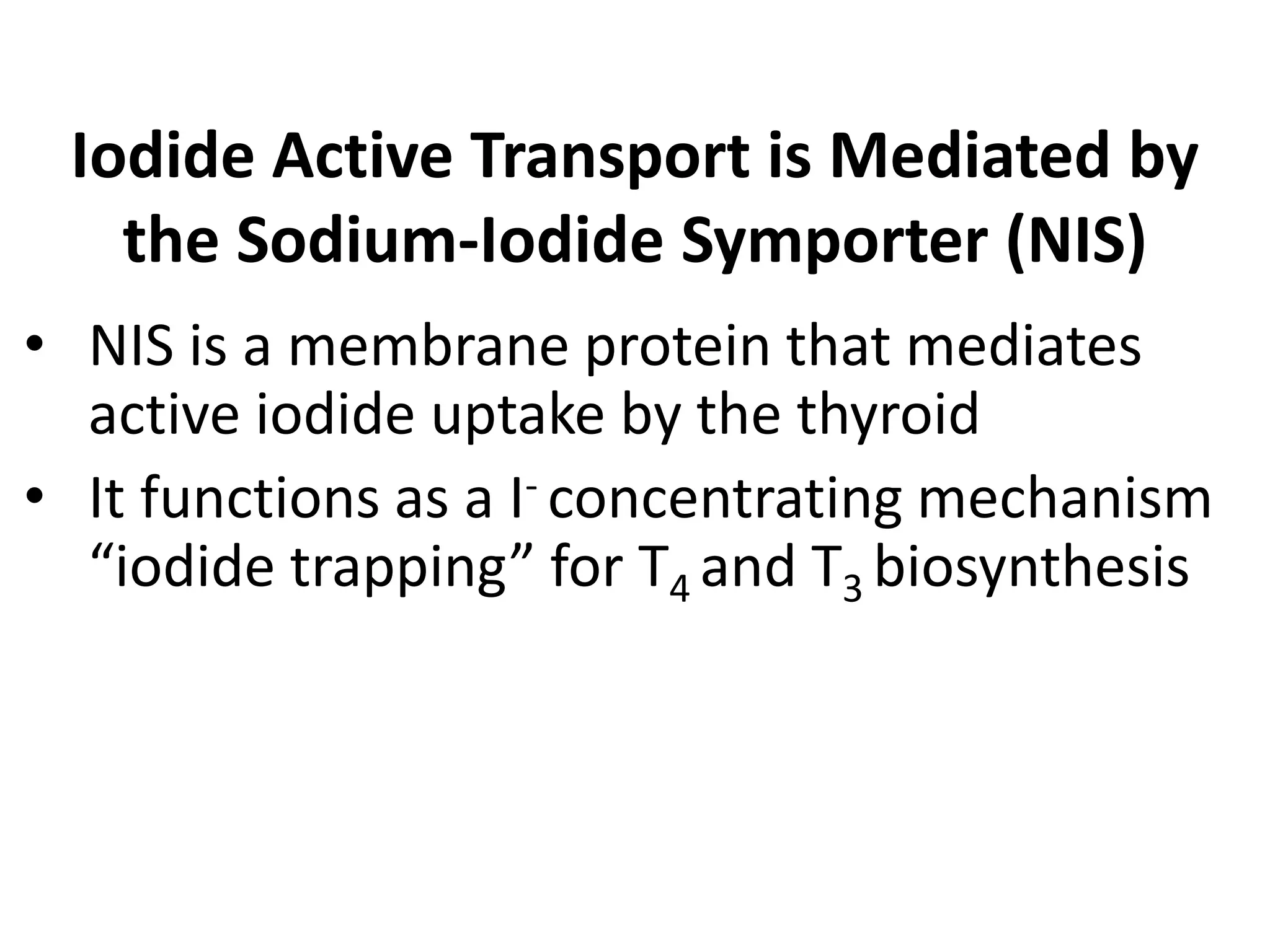 Thyroid Hormone Synthesis Ppt
