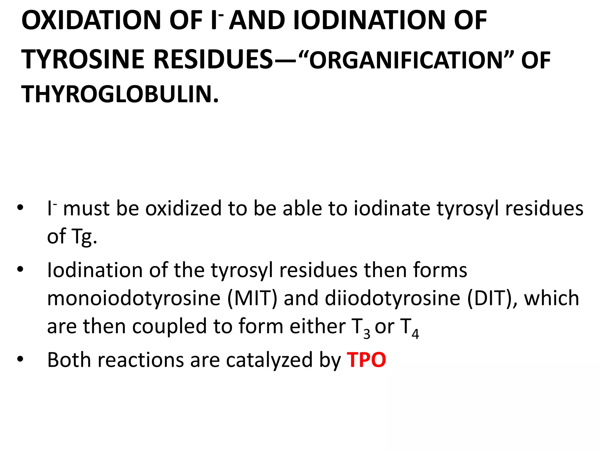 Thyroid hormone synthesis | PPT
