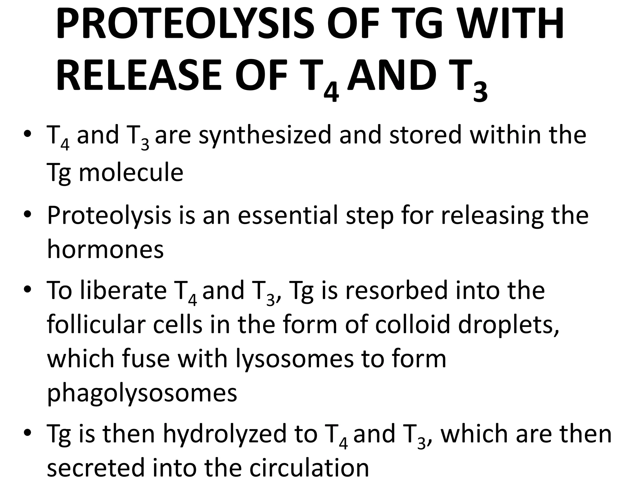 Thyroid hormone synthesis | PPT