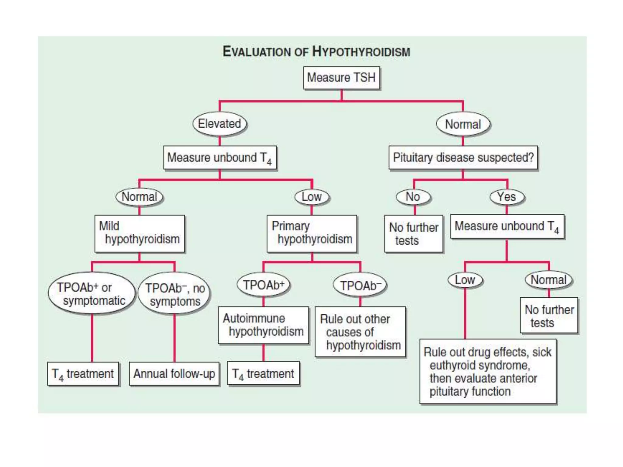 thyroid hypothyroidism.pptx