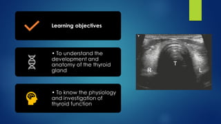 the thyroid gland embryology, anatomy, and physiology. | PDF