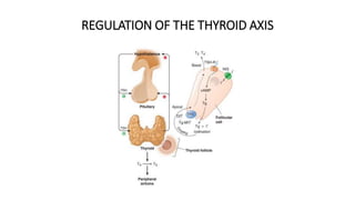 THYROIDITIS.pptx
