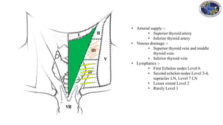 Thyroid malignancies | PPTX