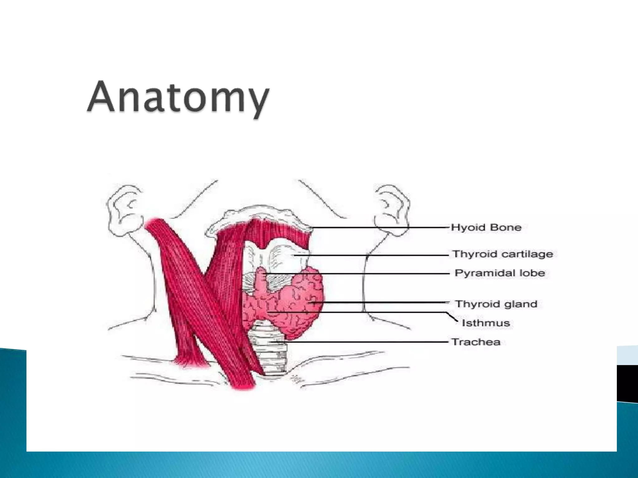Thyroid malignancy | PPTX
