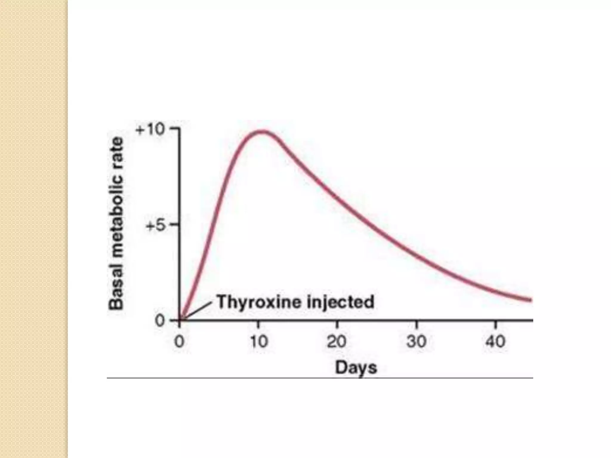 Thyroid Metabolic Hormones Pptx