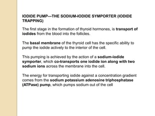 THYROID METABOLIC HORMONES.pptx