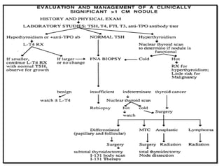 Classification of Thyroid Tumors: A Standardized Diagnostic Approach | PPT