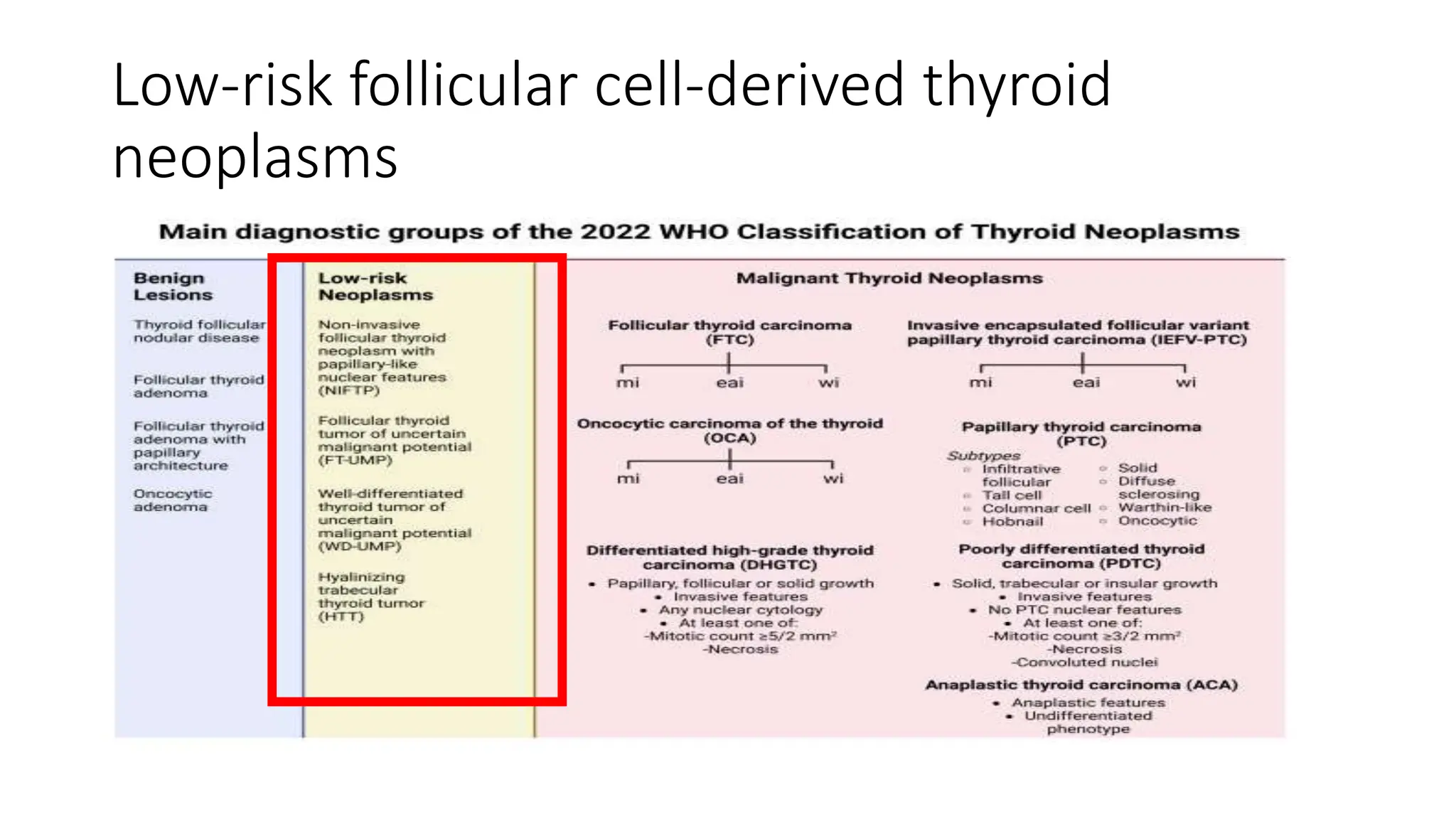Thyroid Neoplasms an update based on latest WHO | PPTX