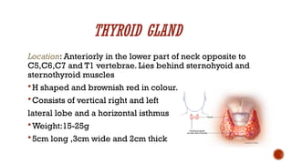 Examination of thyroid gland... general surgery | PPTX