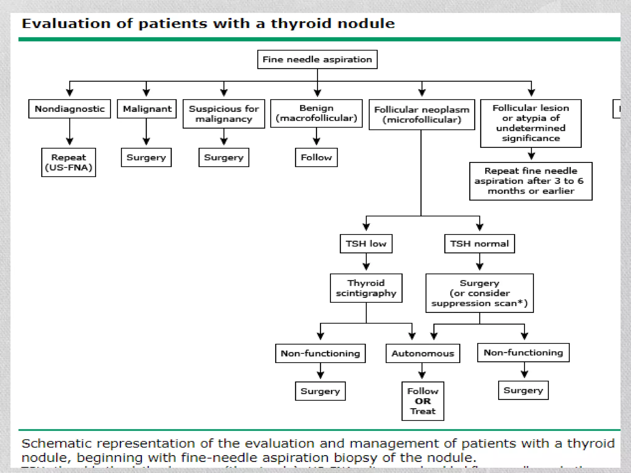 Approach to Thyroid nodule | PPTX