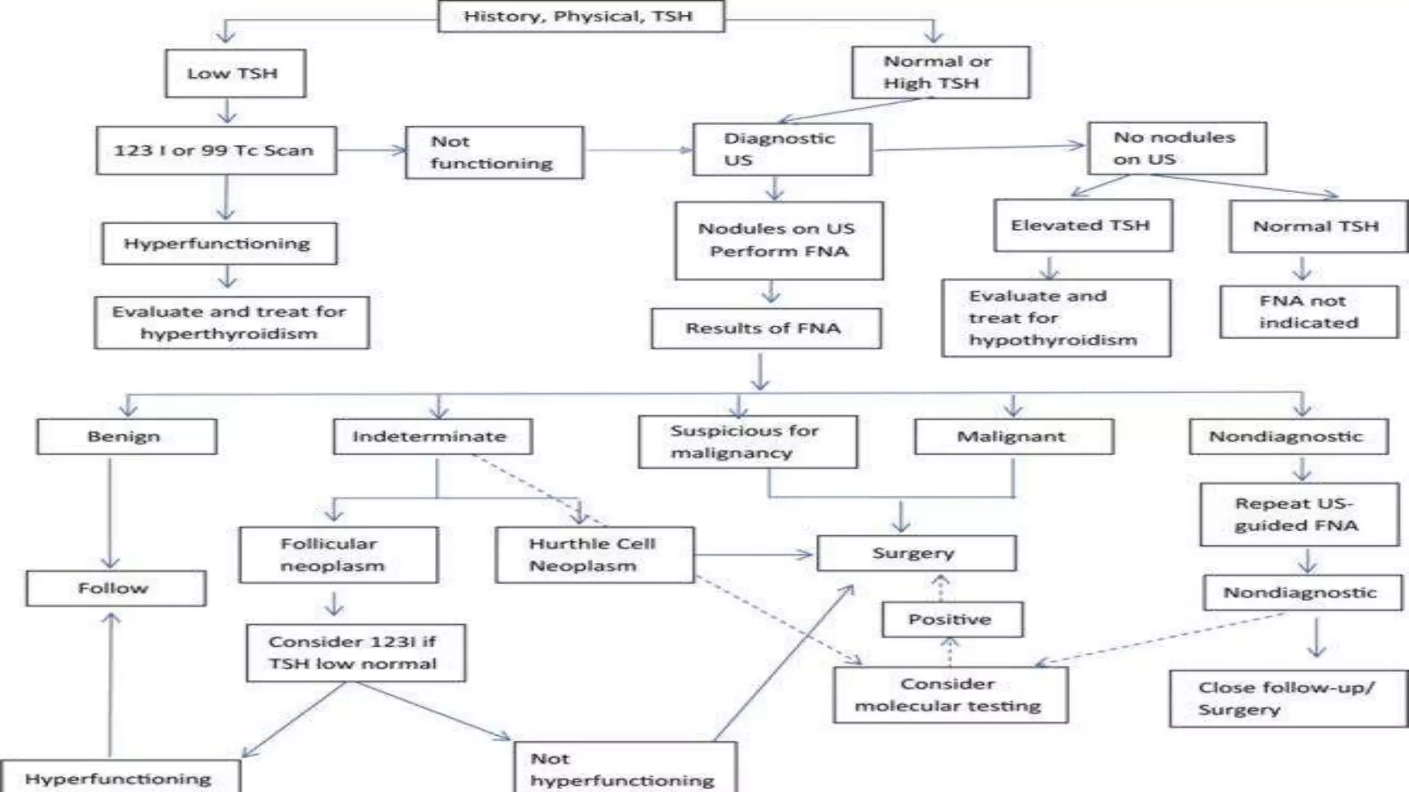 Solitary Cold Nodule Of Thyroid Ppt