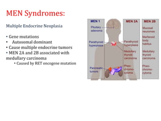 thyroid nodules and cancer.pptx