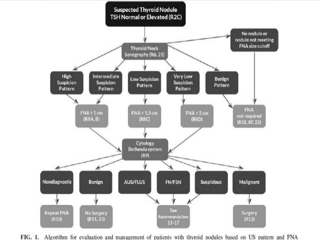 Thyroid nodules ATA guideline 2017